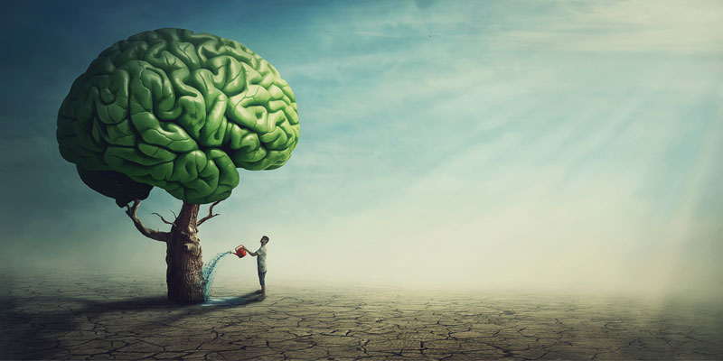 Perioperative Brain Health: A Patient Safety Priority All Anesthesia ...