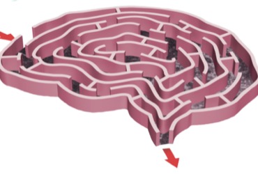 Technical, Nontechnical and Psychological Skills in Anesthesiology: An ...