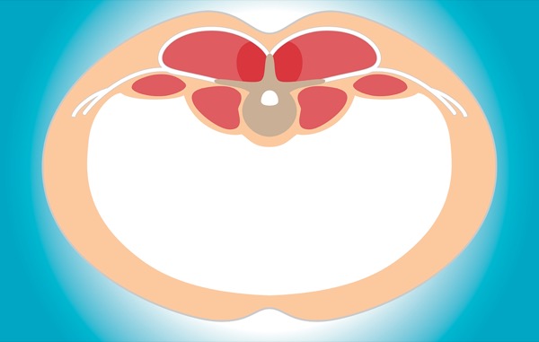 Latest Review Describes ESP Block Efficacy, Usage Patterns