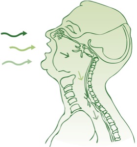 Airway Management Current Concepts Difficult Airway